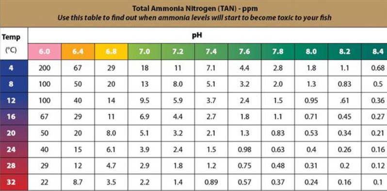 Pengaruh Suhu dan pH terhadap Amonia - Blog PERIKANAN